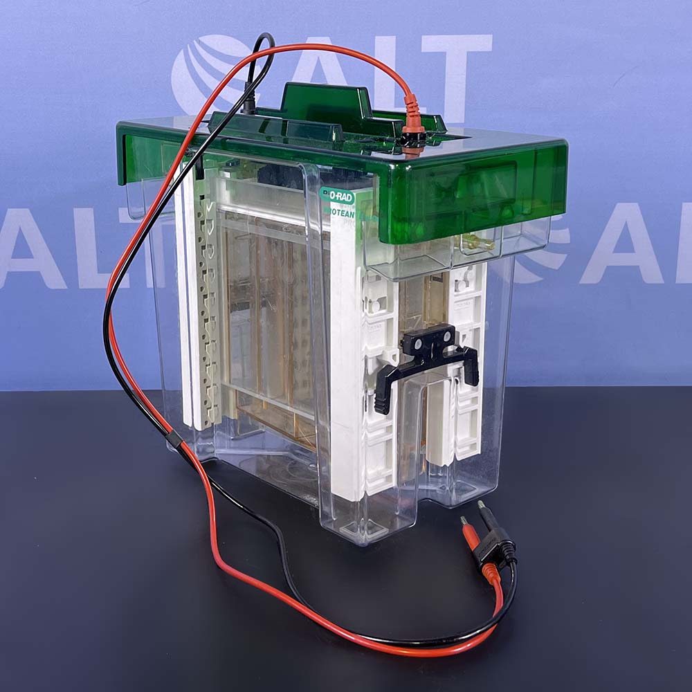 Bio-Rad PROTEAN II xi Cell