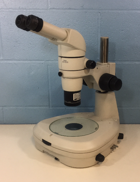 Nikon SMZ800 Stereoscopic Zoom Microscope
