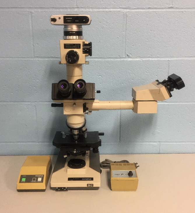 Olympus BH-2 BHT Microscope