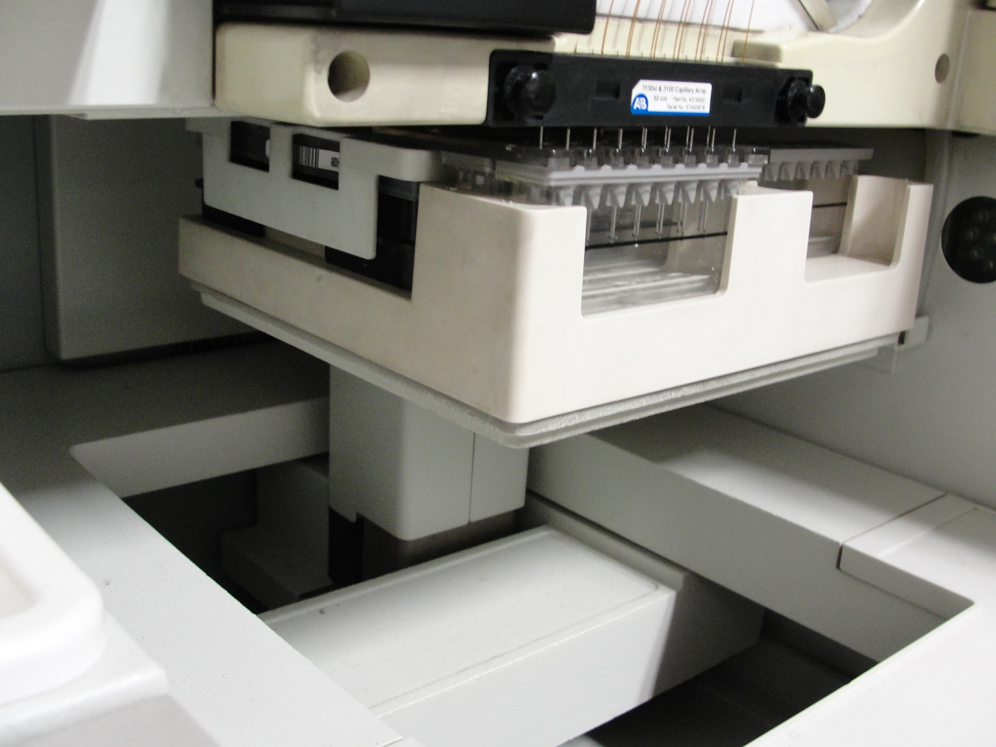 Applied Biosystems ABI PRISM 3100 Genetic Analyzer