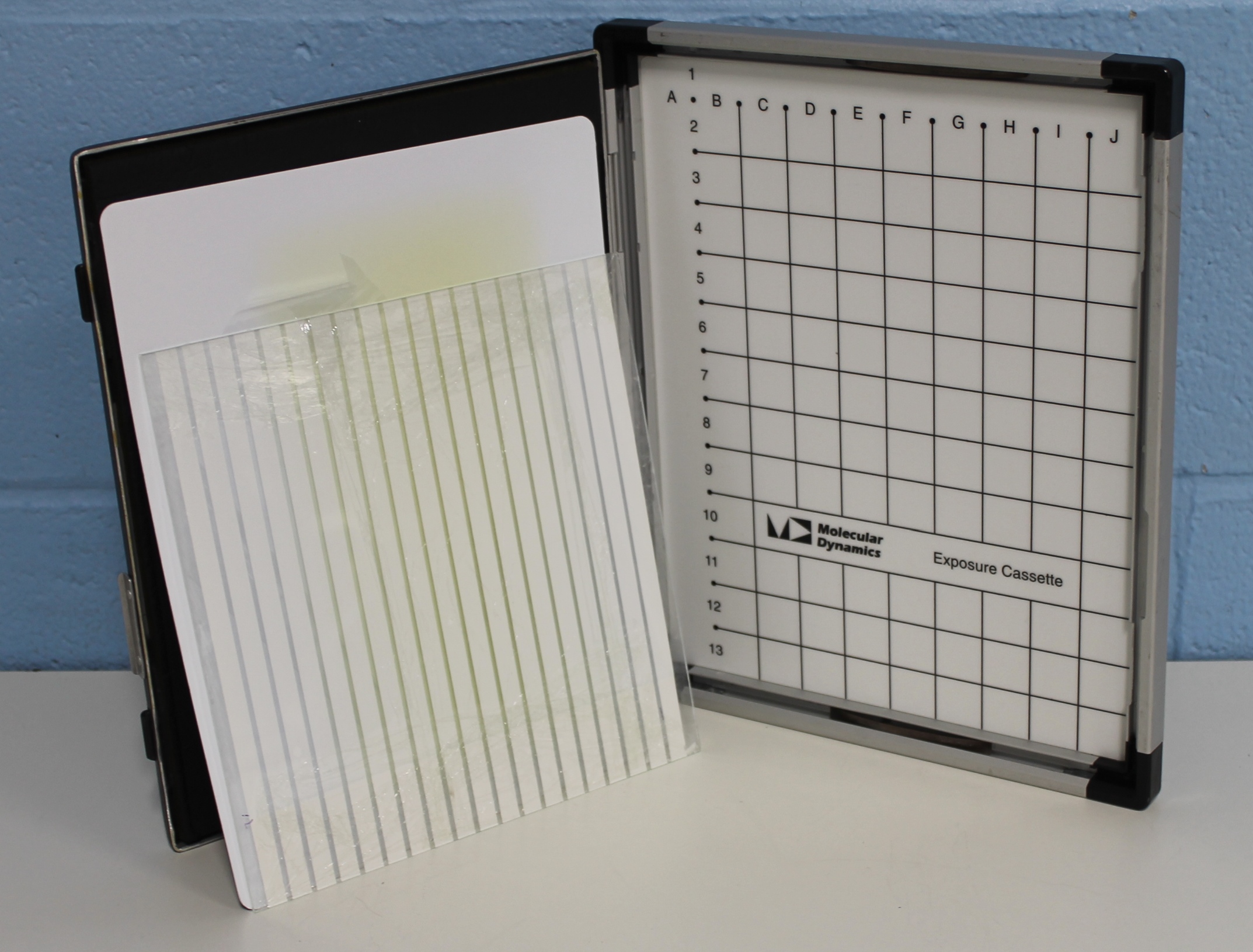 Molecular Dynamics Exposure Cassette 8 x 10