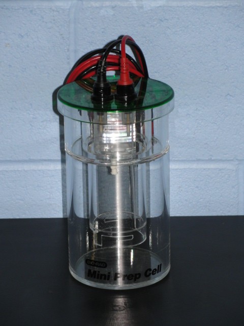 Bio-Rad Mini-Prep Cell